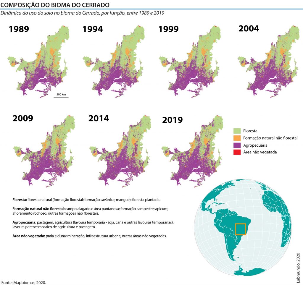 Composição do bioma do Cerrado – Observatório Interdisciplinar das ...